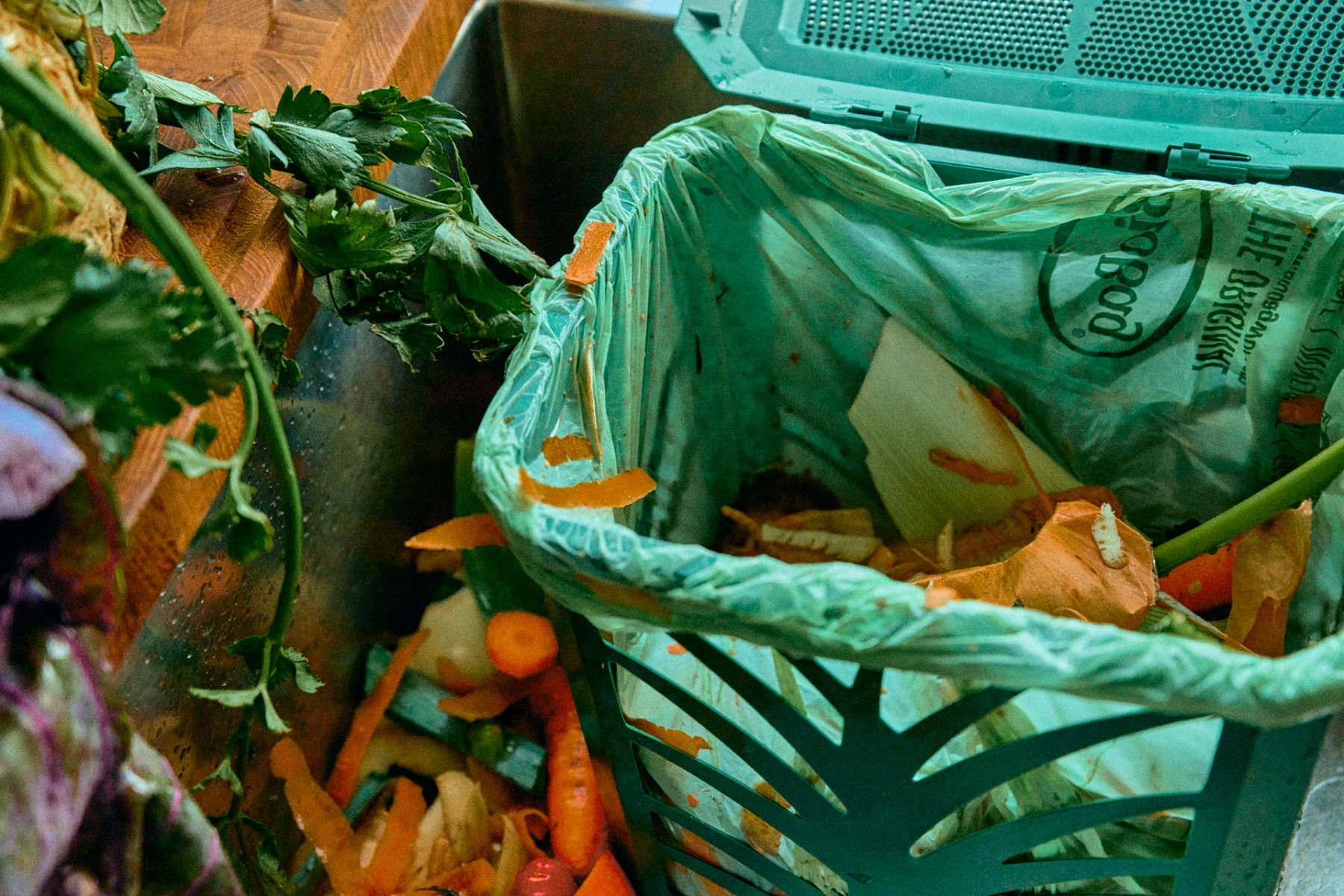 Food Waste Caddy & Containers for Home - Biobag