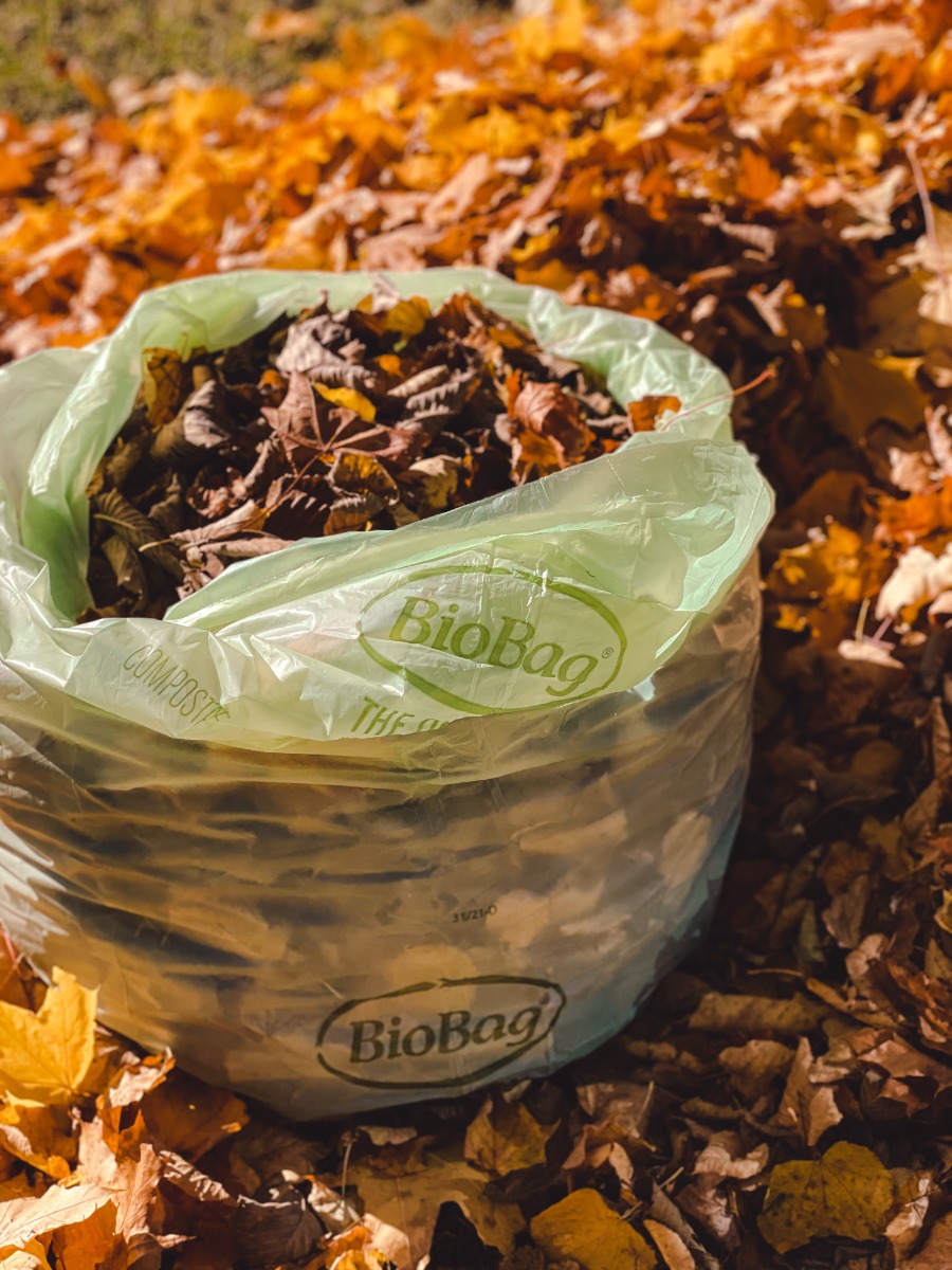 Lawn & Leaf Bags 10ct